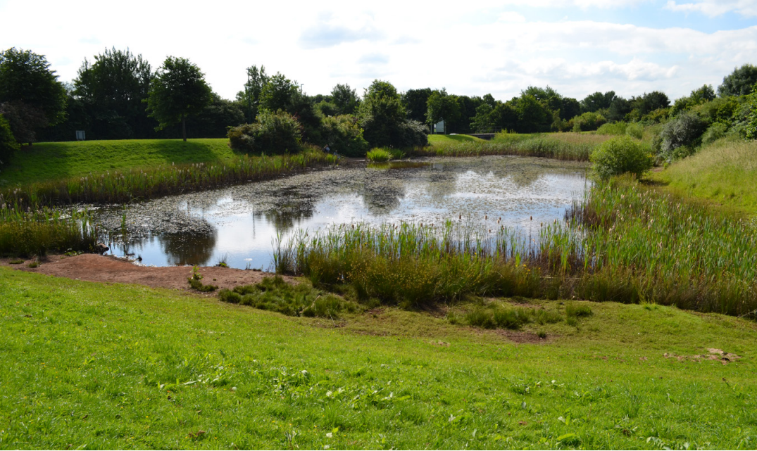 Balancing ponds | fact sheet | Amplius | Amplius