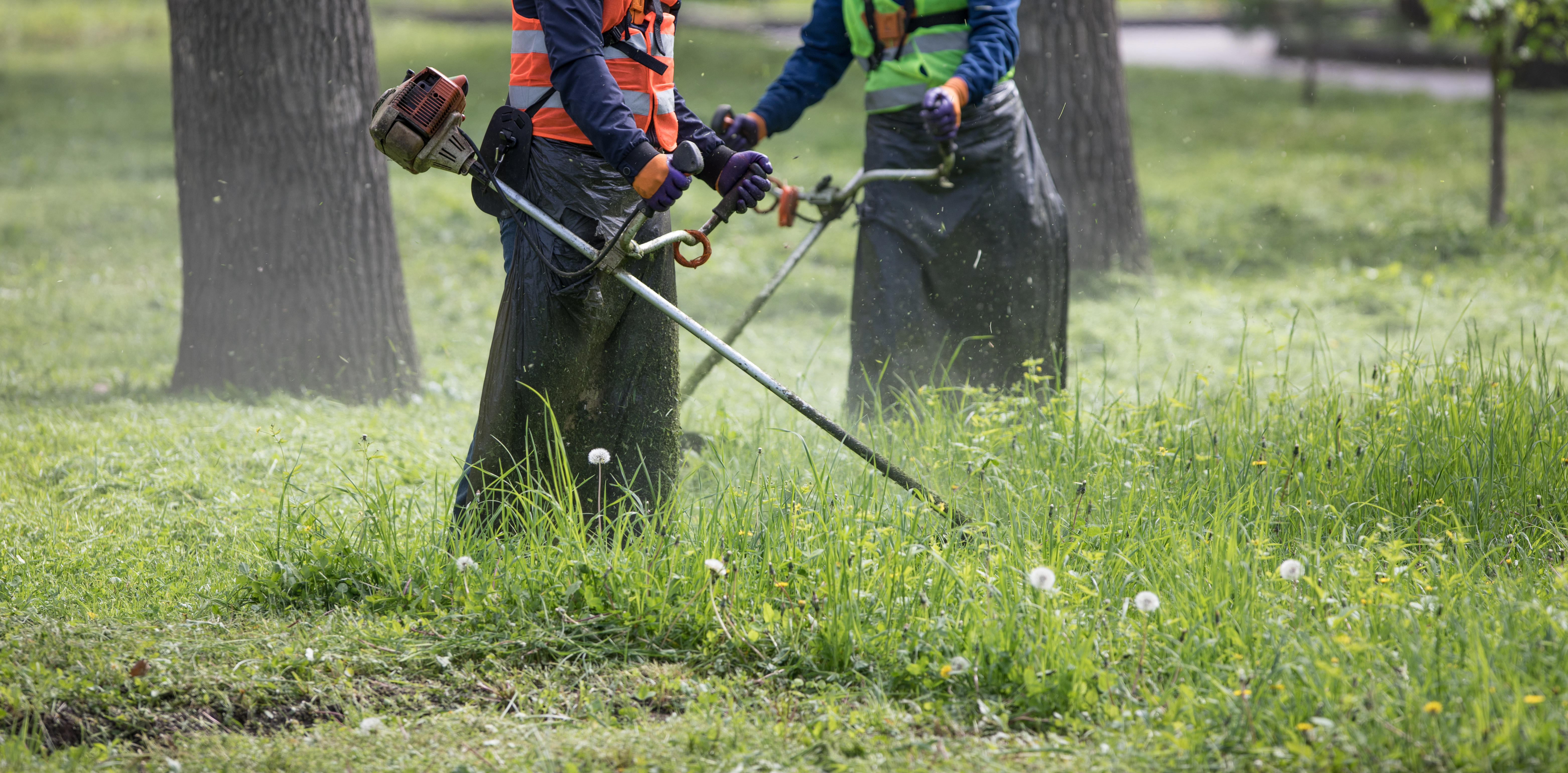 An update on our grounds maintenance contractors | Amplius